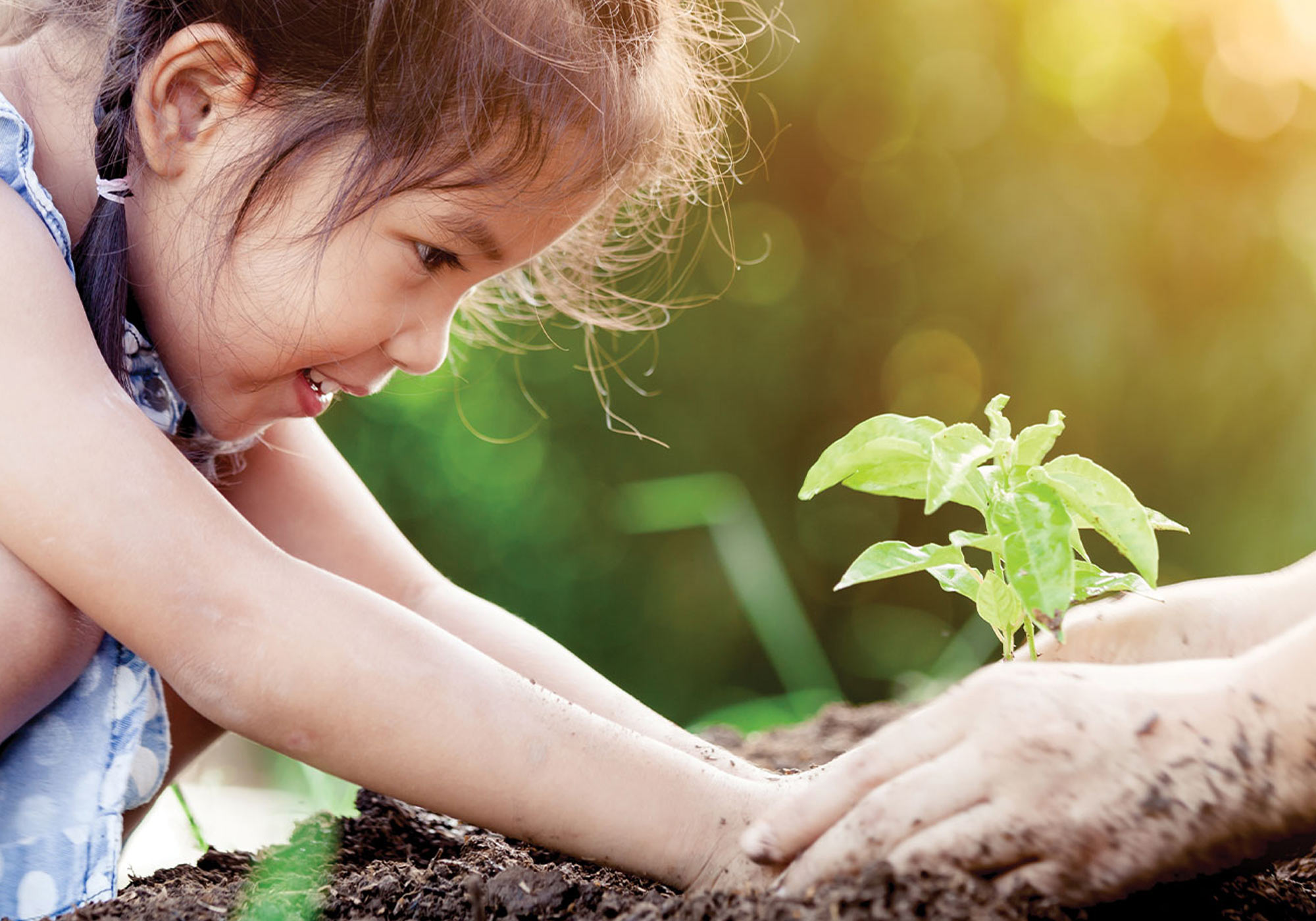 Gardening with Kids - Charlottesville Family