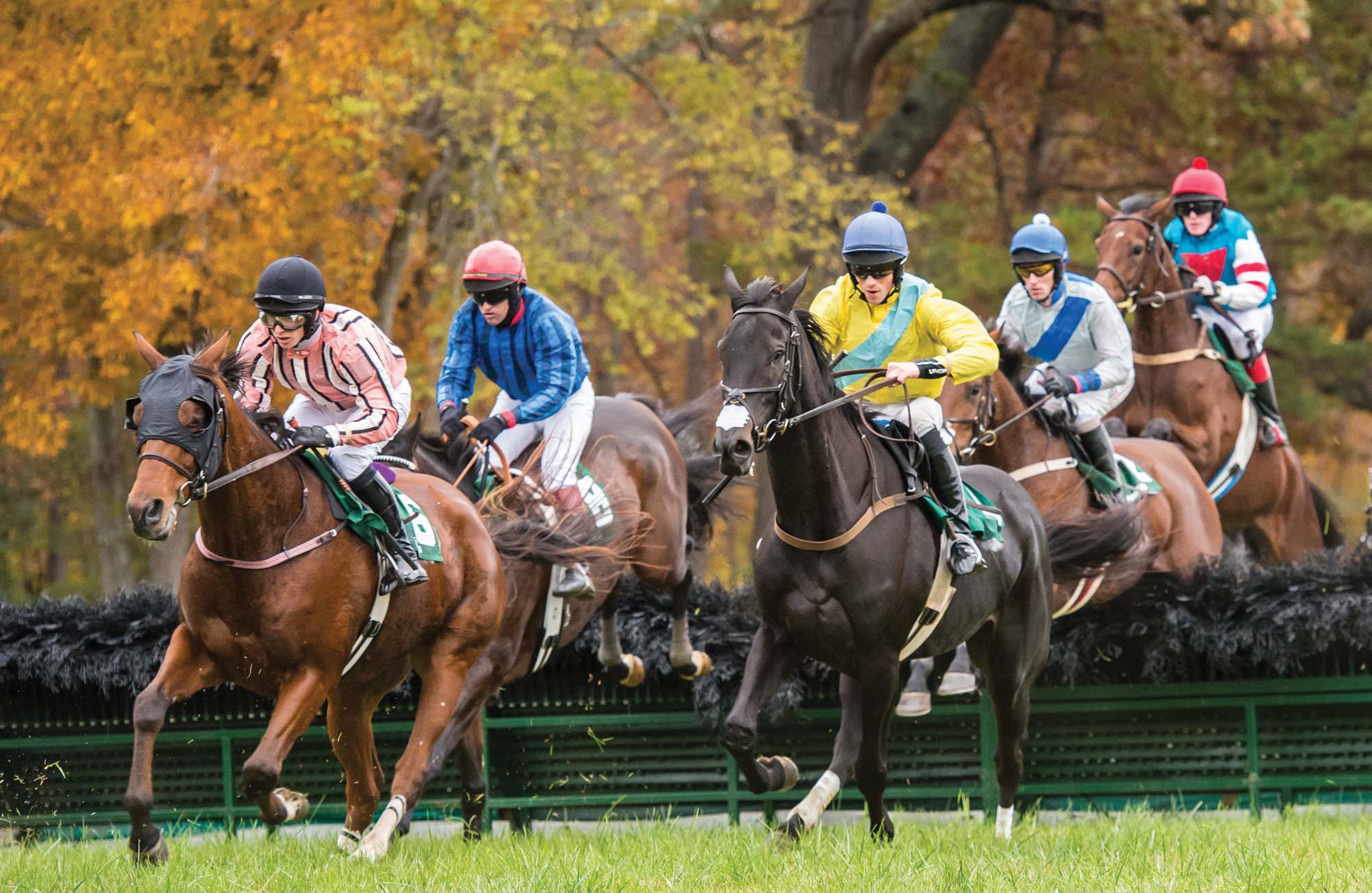 Giddy Up for Montpelier Hunt Races! - Charlottesville Family