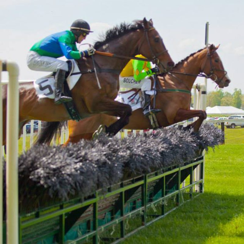 A Guide to Foxfield Family Day at the Races - Charlottesville Family