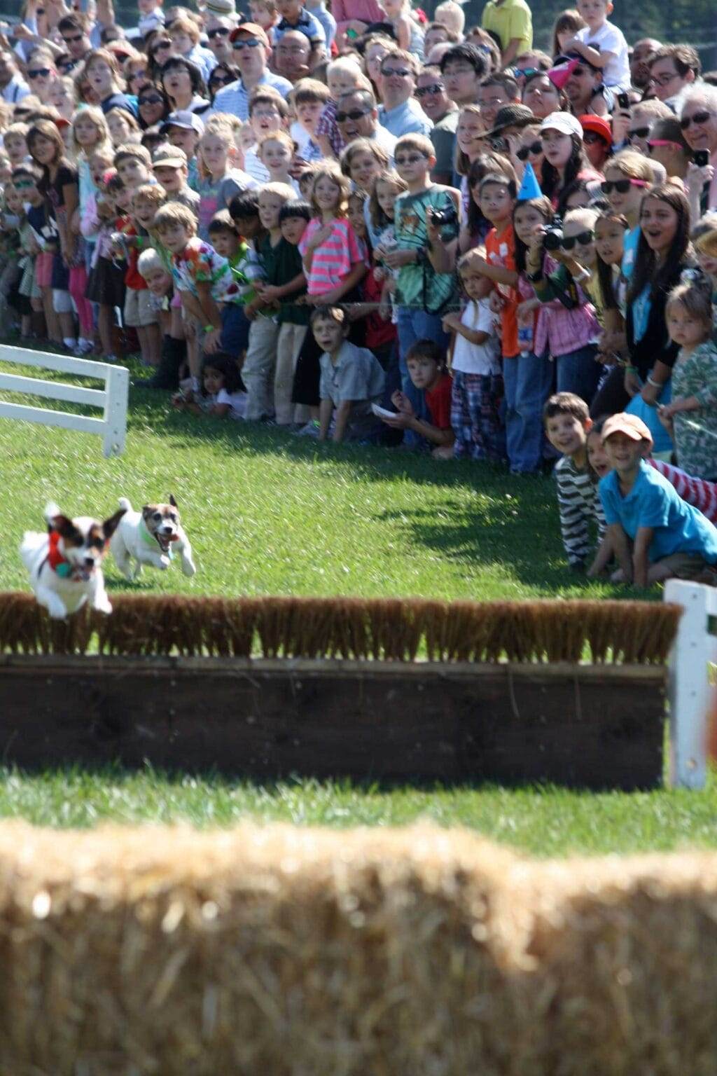 A Guide to Foxfield Family Day at the Races - Charlottesville Family
