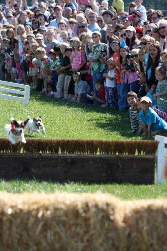 A Guide to Foxfield Family Day at the Races - Charlottesville Family