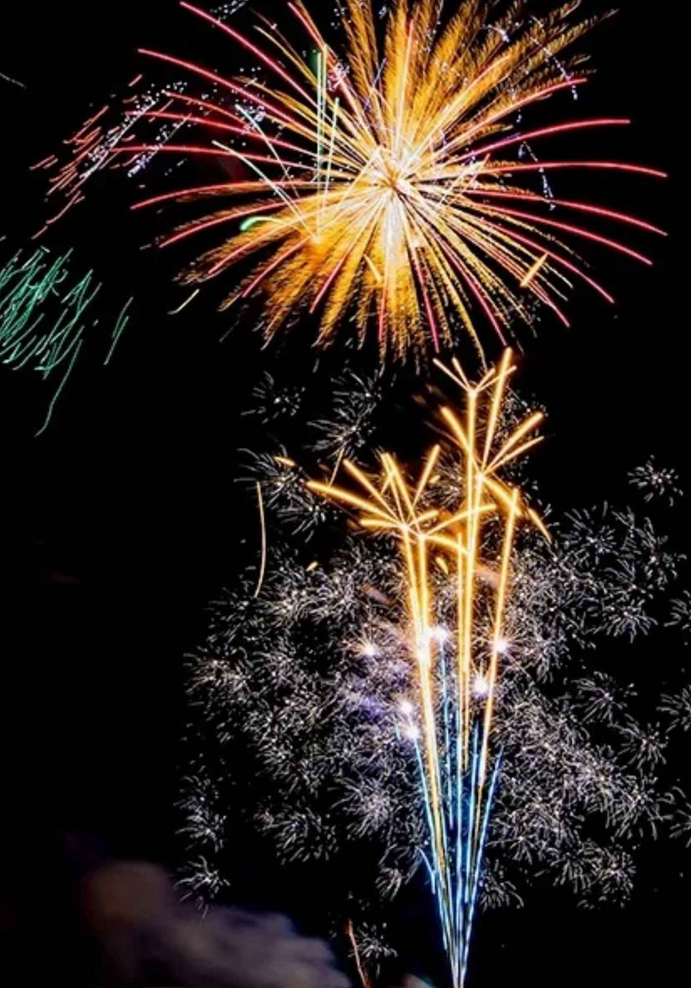 Virginia County Fairs to Visit This Summer - Charlottesville Family