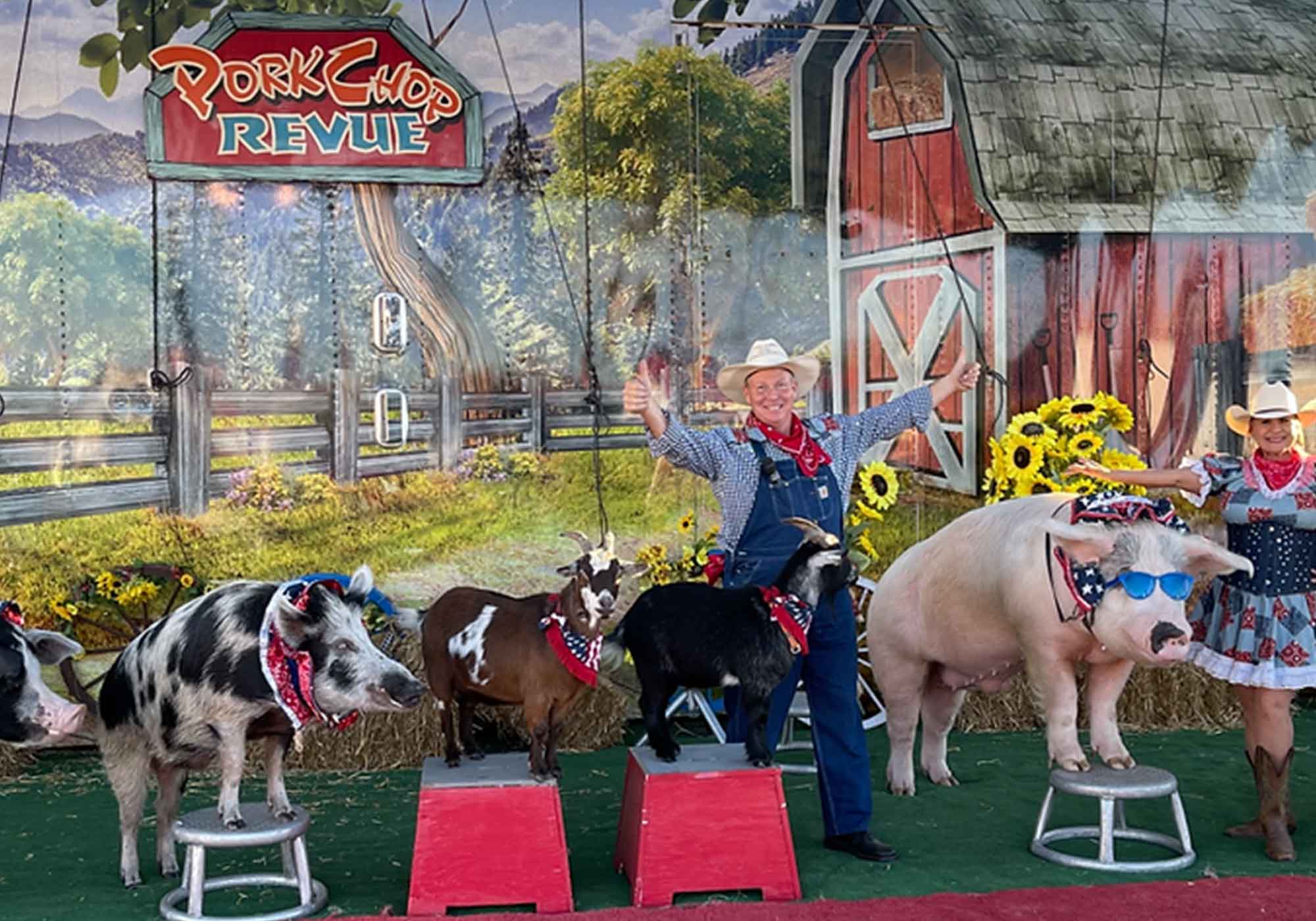 Virginia County Fairs to Visit This Summer - Charlottesville Family