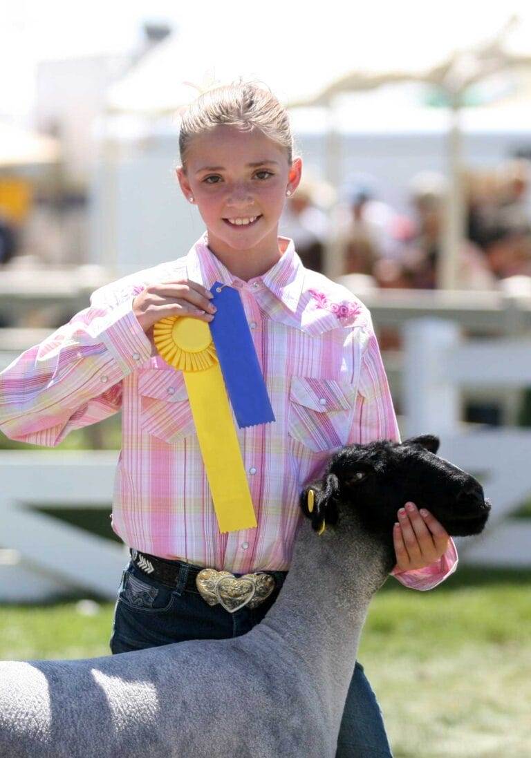 Virginia County Fairs to Visit This Summer - Charlottesville Family