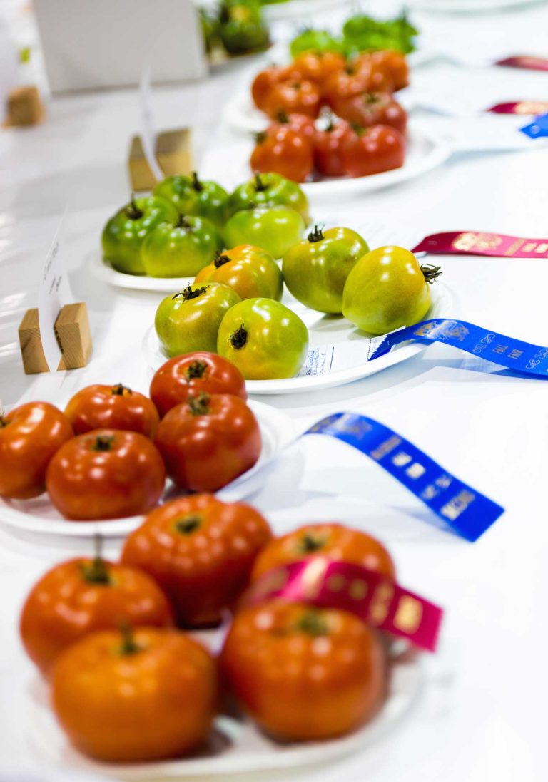 Virginia County Fairs to Visit This Summer - Charlottesville Family