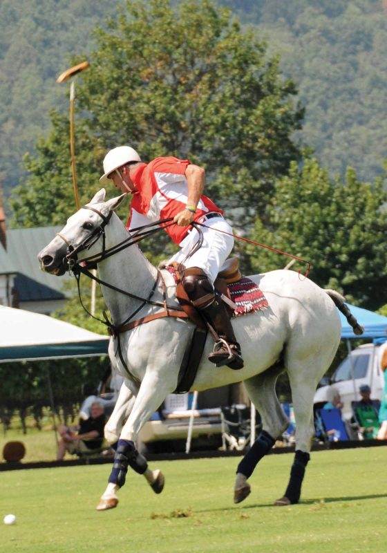 King Family Vineyards Polo for Families - Charlottesville Family