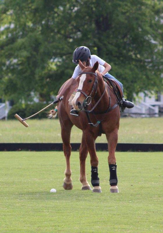 King Family Vineyards Polo for Families - Charlottesville Family
