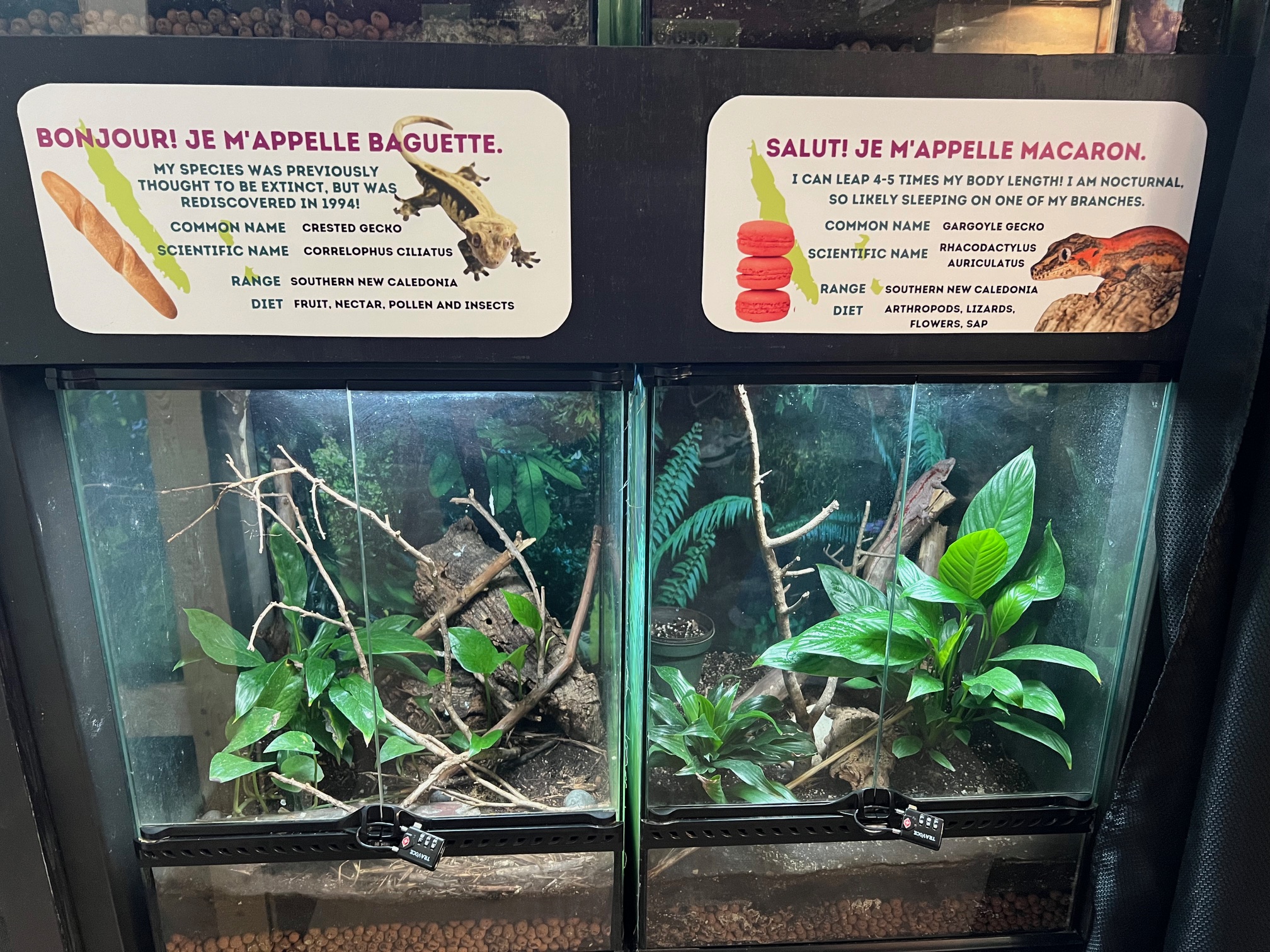 Virginia Reptile Museum - Charlottesville Family