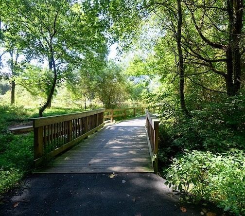 Charlottesville Parks and Playgrounds for Families - Charlottesville Family